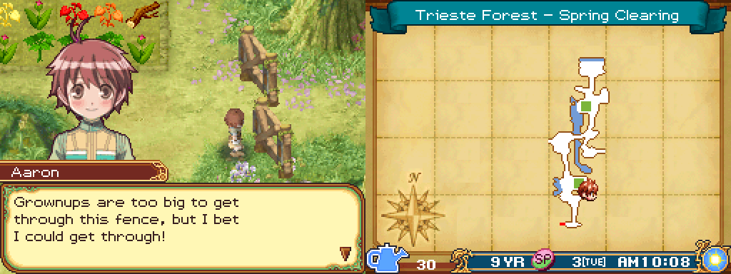 Chapter 2: Second Generation - Rune Factory 2 Guides