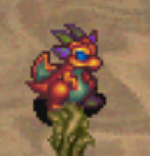 Dragon Transformations Guide